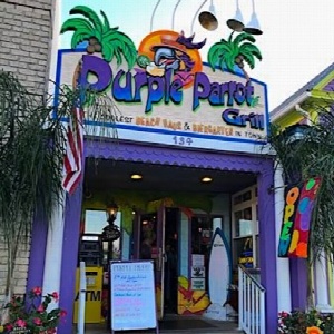 Purple Parrot - Kikipedia Rehoboth Beach