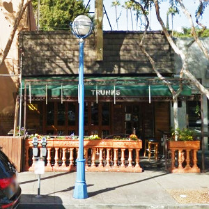 Trunks - Kikipedia WEHO