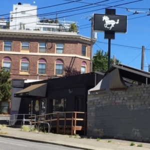 Pony - Kikipedia Seattle